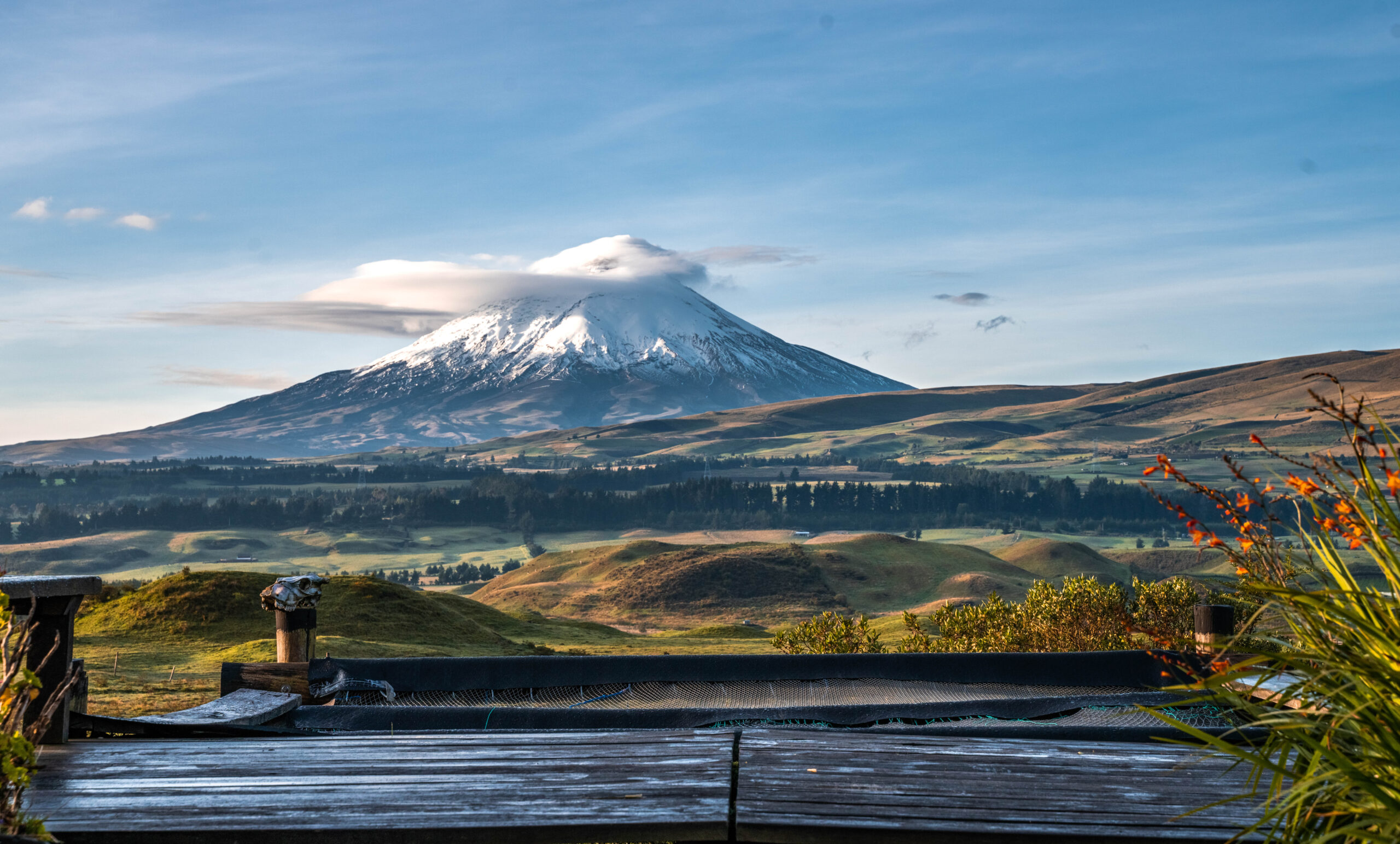 New Web Secret Garden Hostel Cotopaxi - A Paradise on Earth